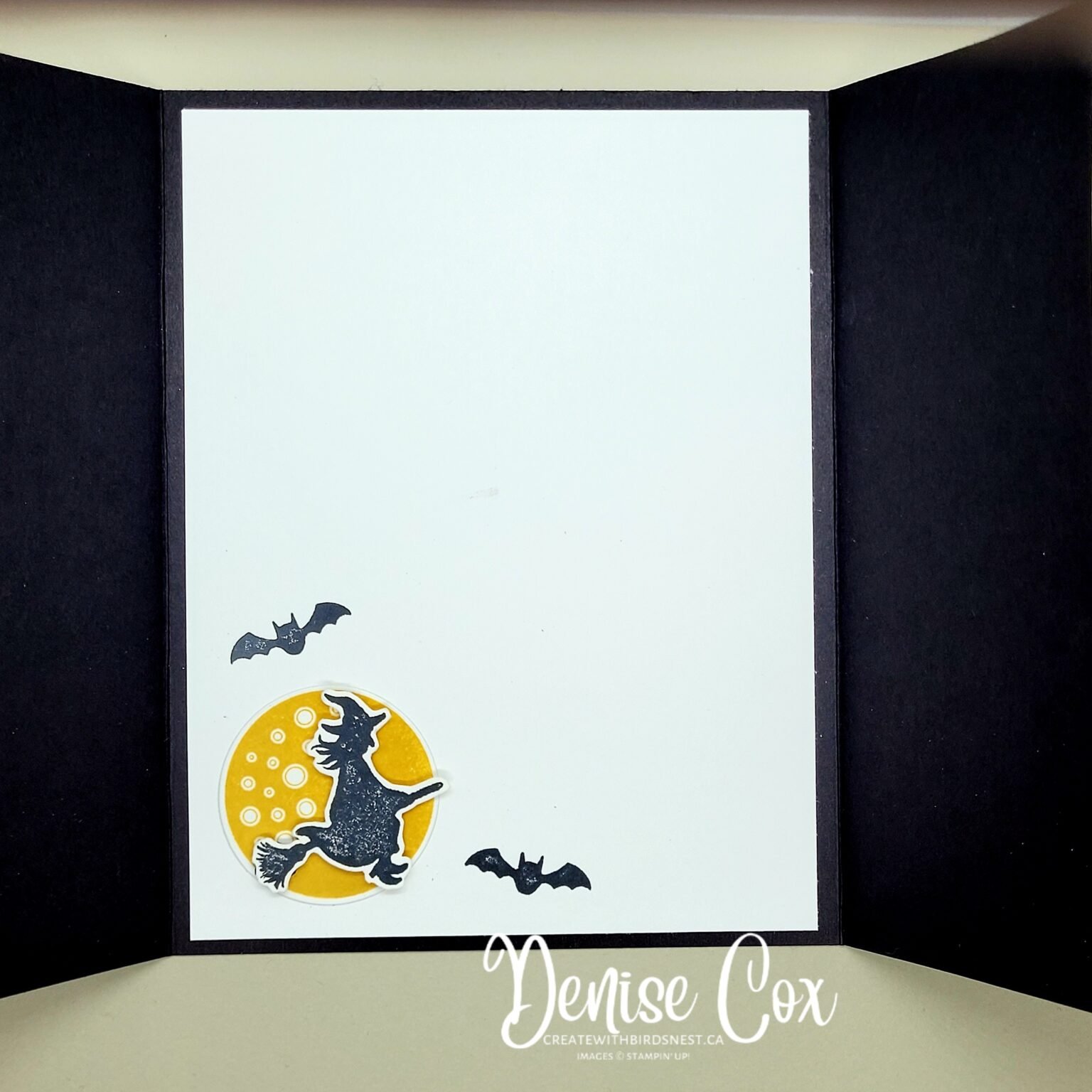 Fun Fold Cards for Halloween • Birdsnest Designs | Denise Cox