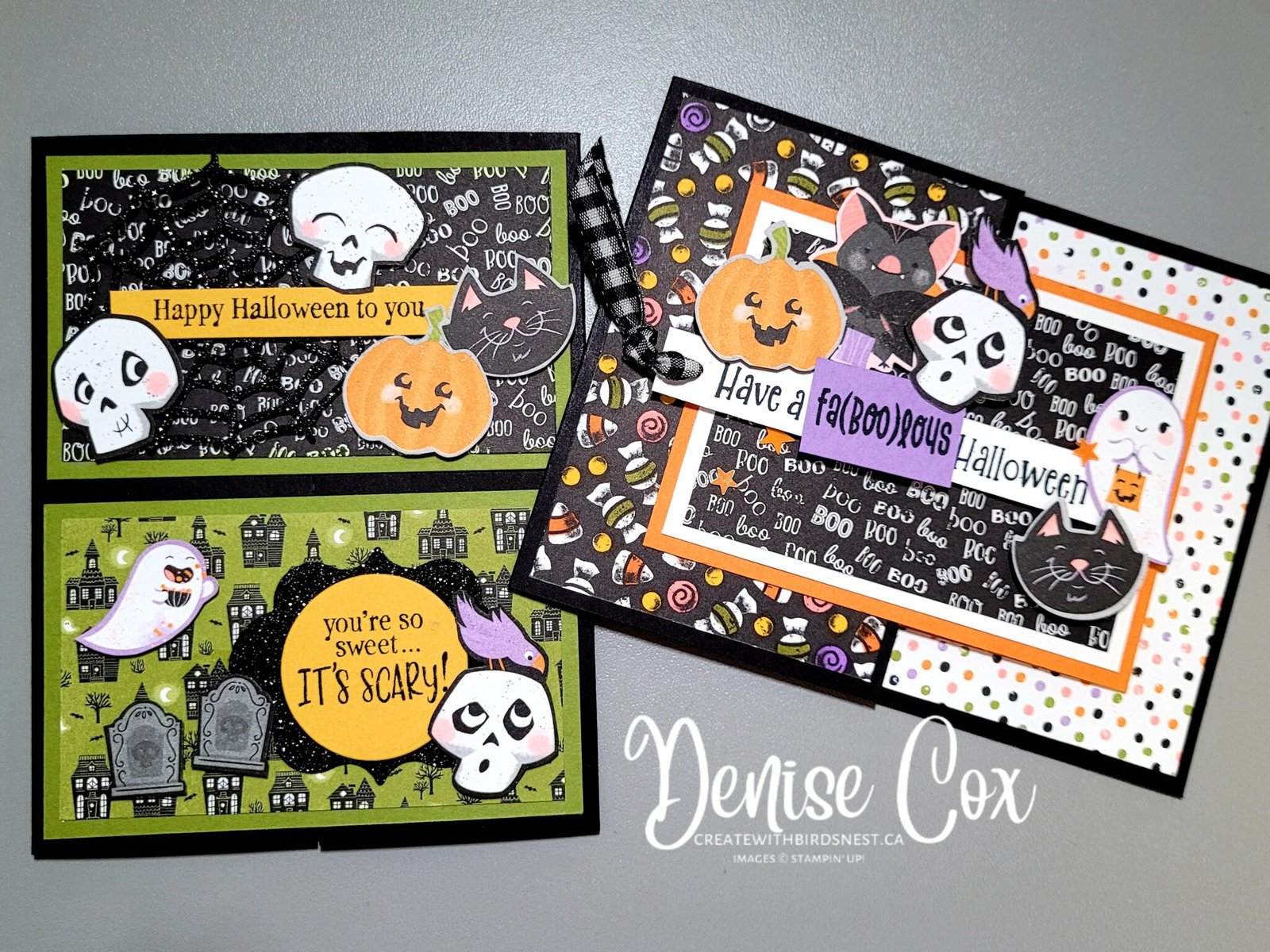 Fun Fold Cards for Halloween • Birdsnest Designs | Denise Cox