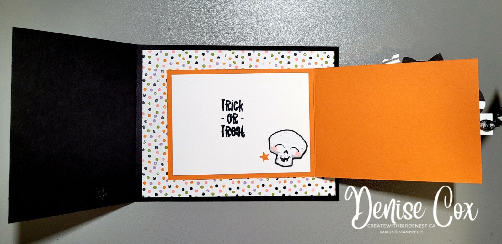 Fun Fold Cards for Halloween • Birdsnest Designs | Denise Cox