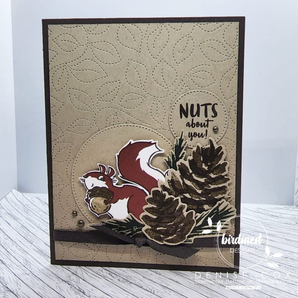 Nuts About Squirrels Fun Fall Card • Birdsnest Designs