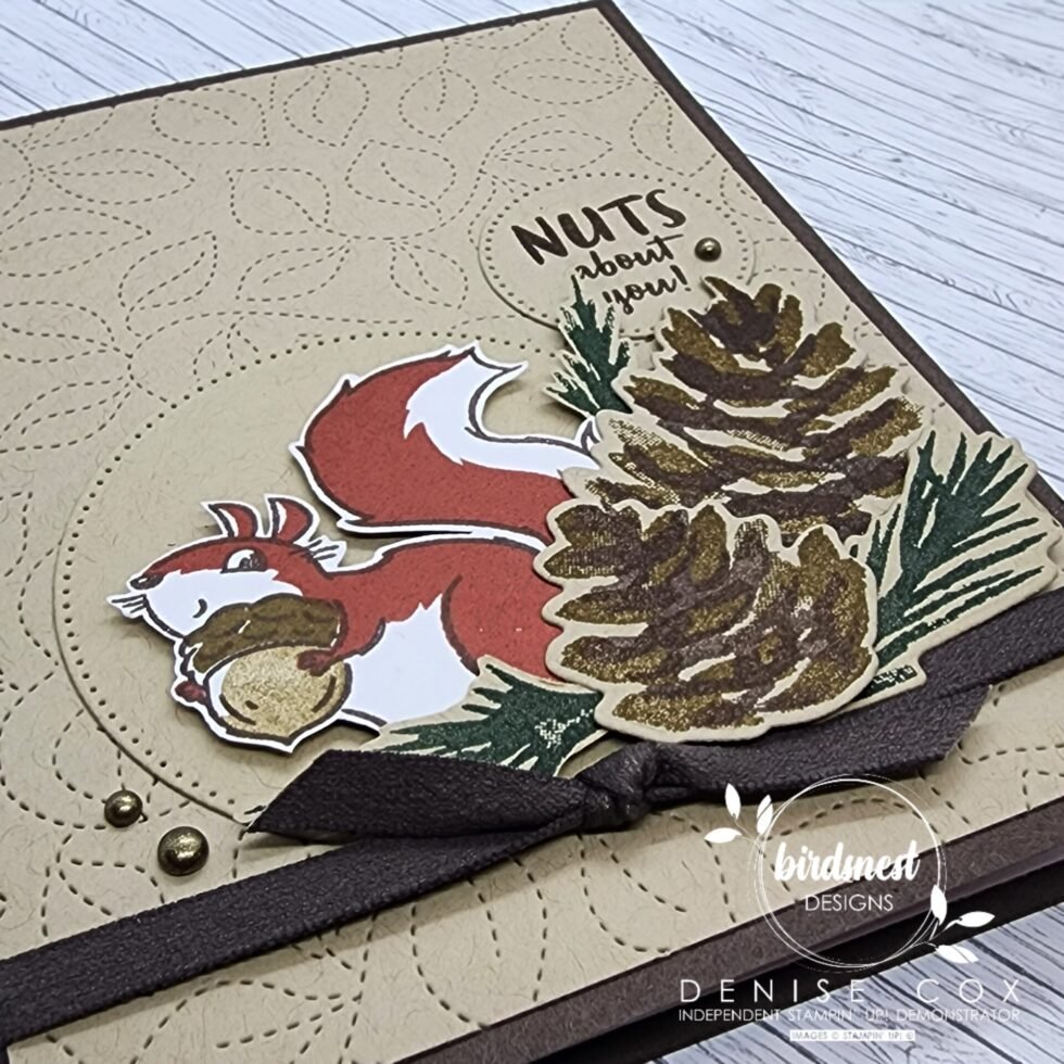 Nuts About Squirrels Fun Fall Card • Birdsnest Designs