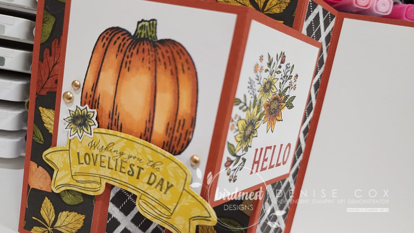 Easy To Make Hello Harvest Accordion Fold Card • Denise Cox