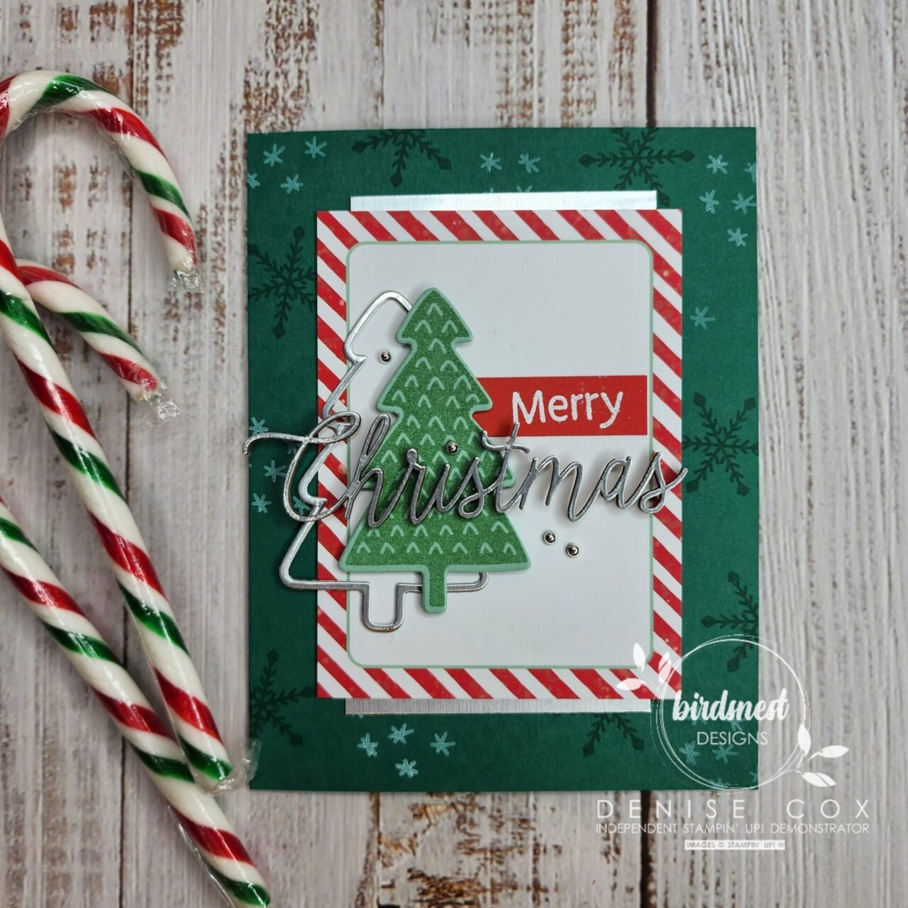 Spruced Up Christmas & Heat Embossed Elements • Denise Cox