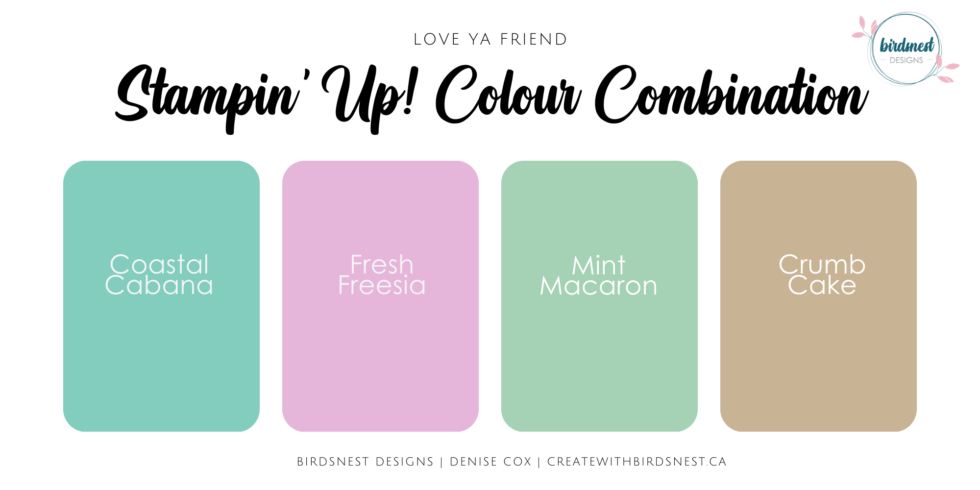 Adorable Owls & Conversation Bubbles • Denise Cox