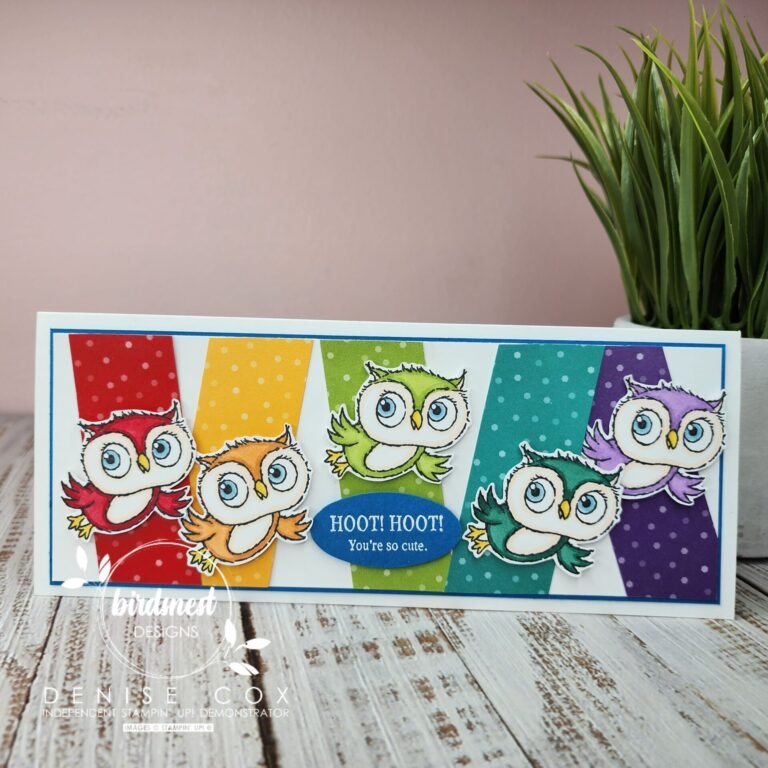 A Rainbow of Adorable Owls Slimline Card • Birdsnest Designs