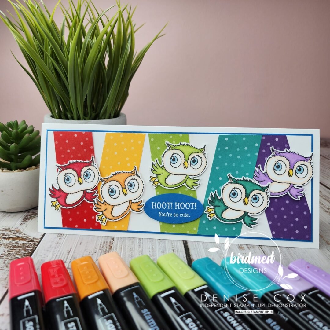 A Rainbow of Adorable Owls Slimline Card • Birdsnest Designs