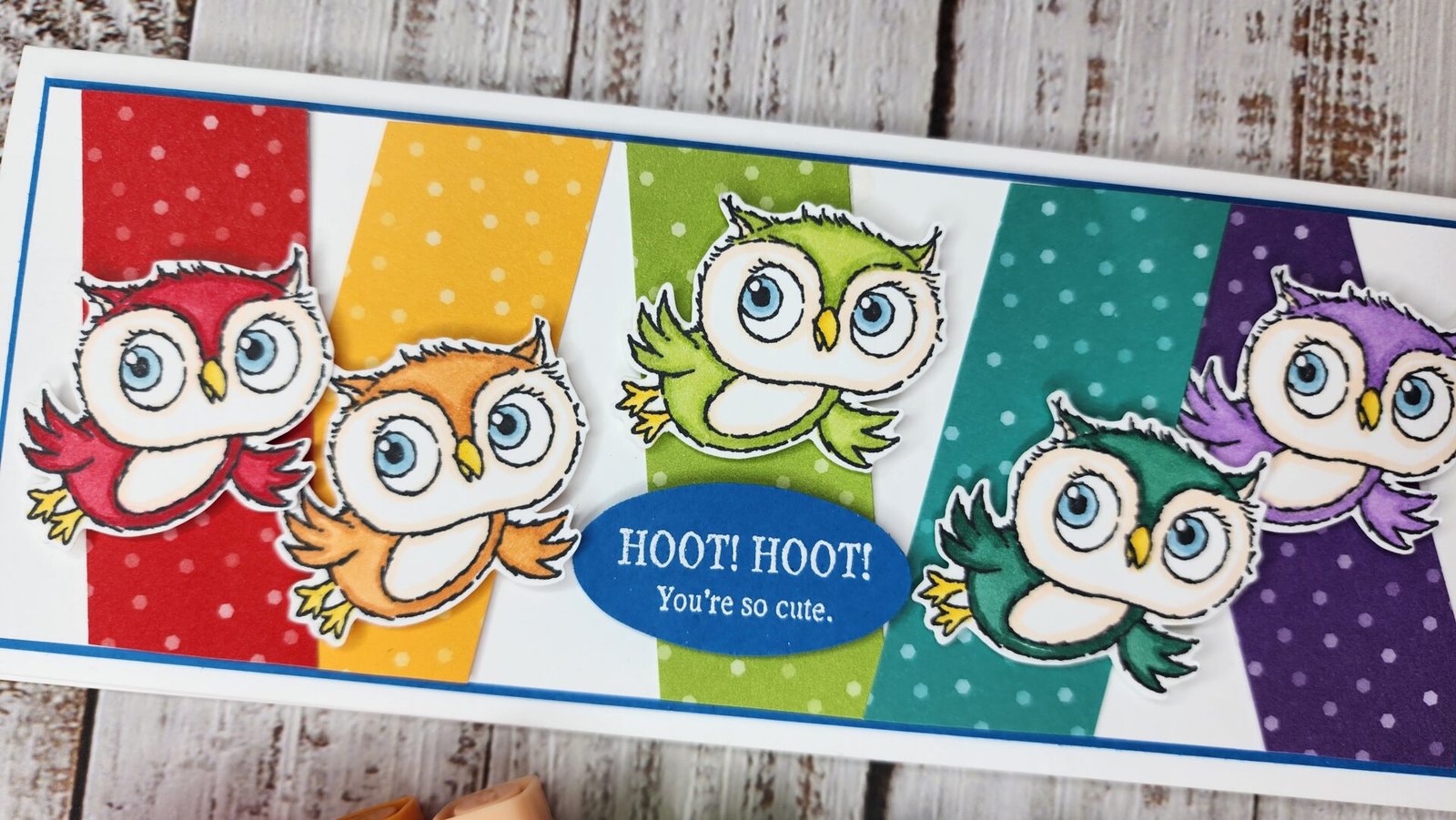 A Rainbow of Adorable Owls Slimline Card • Birdsnest Designs