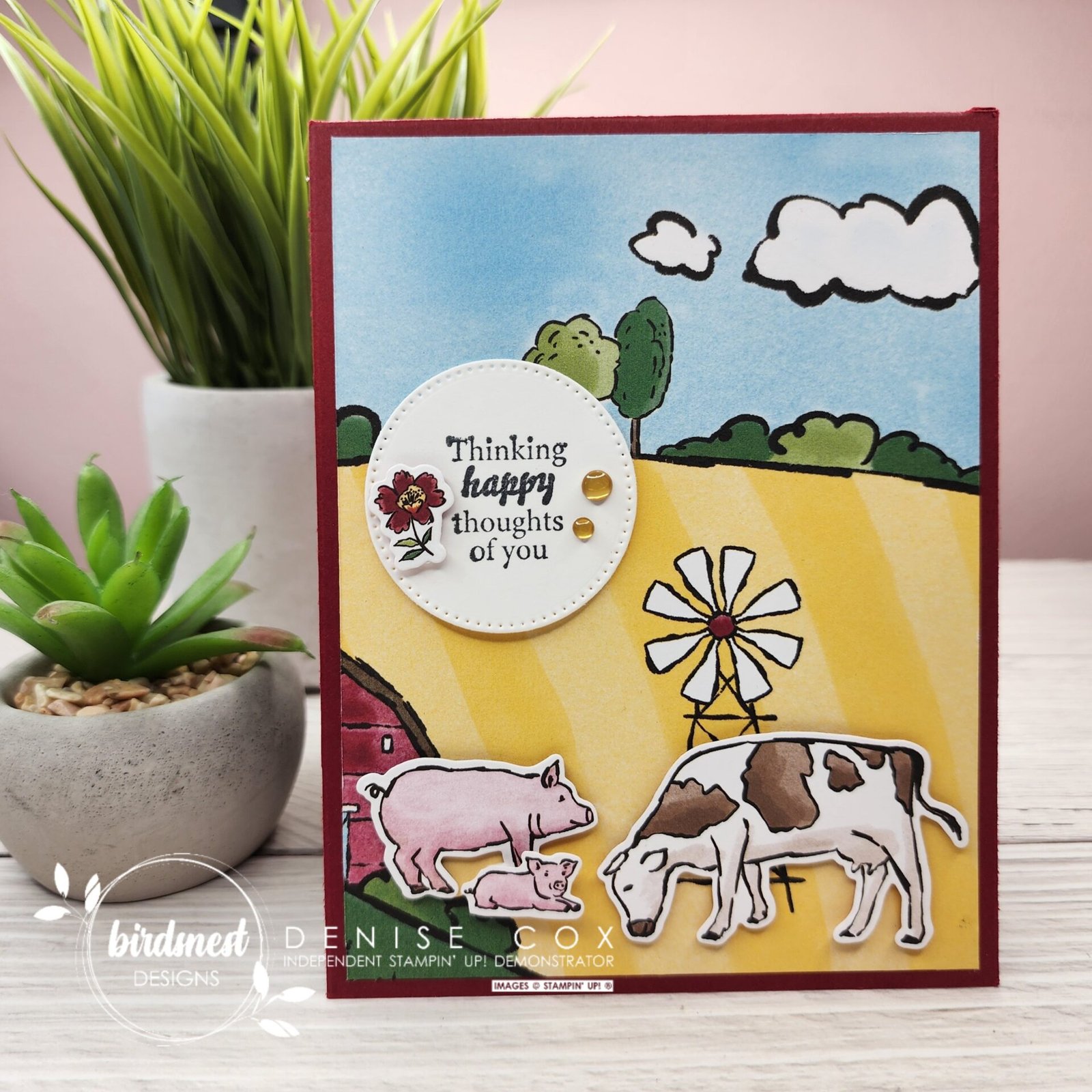 On The Farm Fun Fold Card • Birdsnest Designs