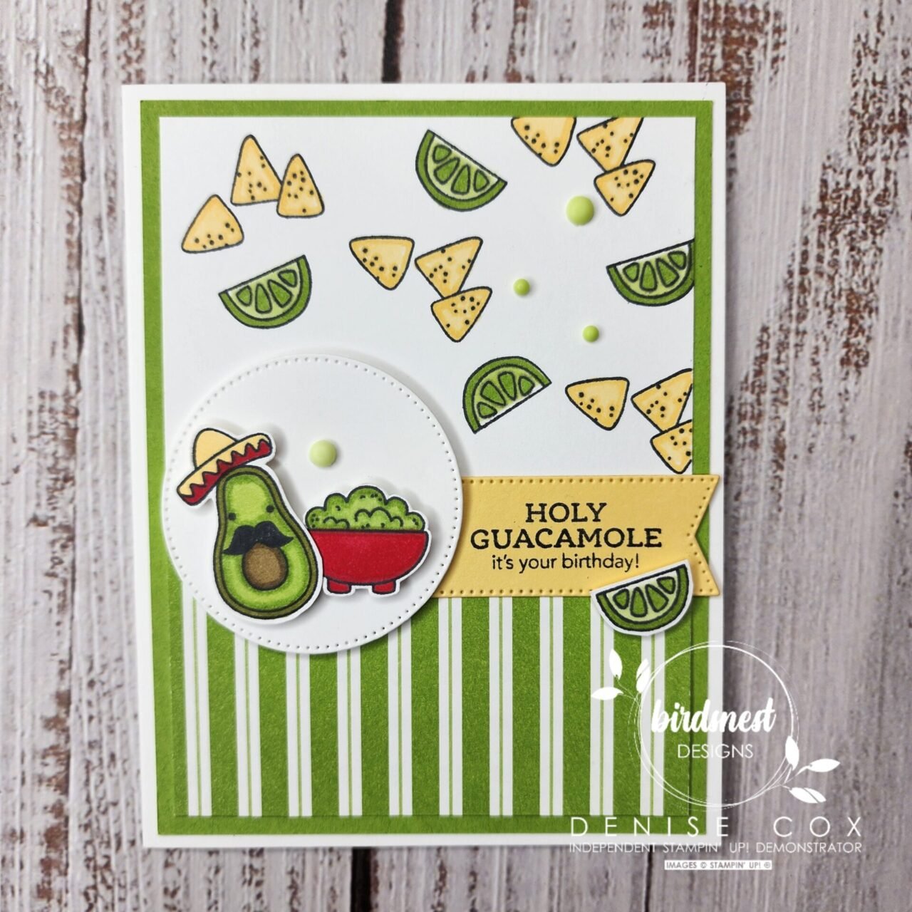 Holy Guacamole: Taco Fiesta • Birdsnest Designs