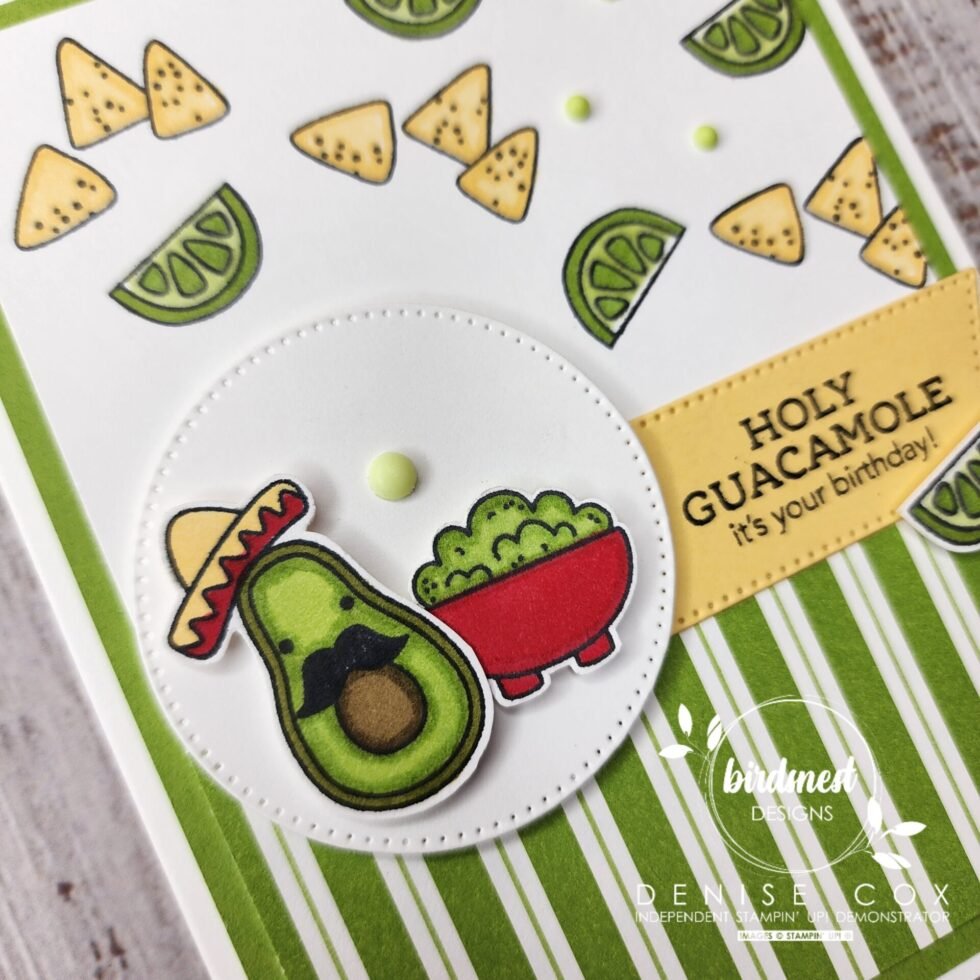 Holy Guacamole: Taco Fiesta • Birdsnest Designs | Denise Cox
