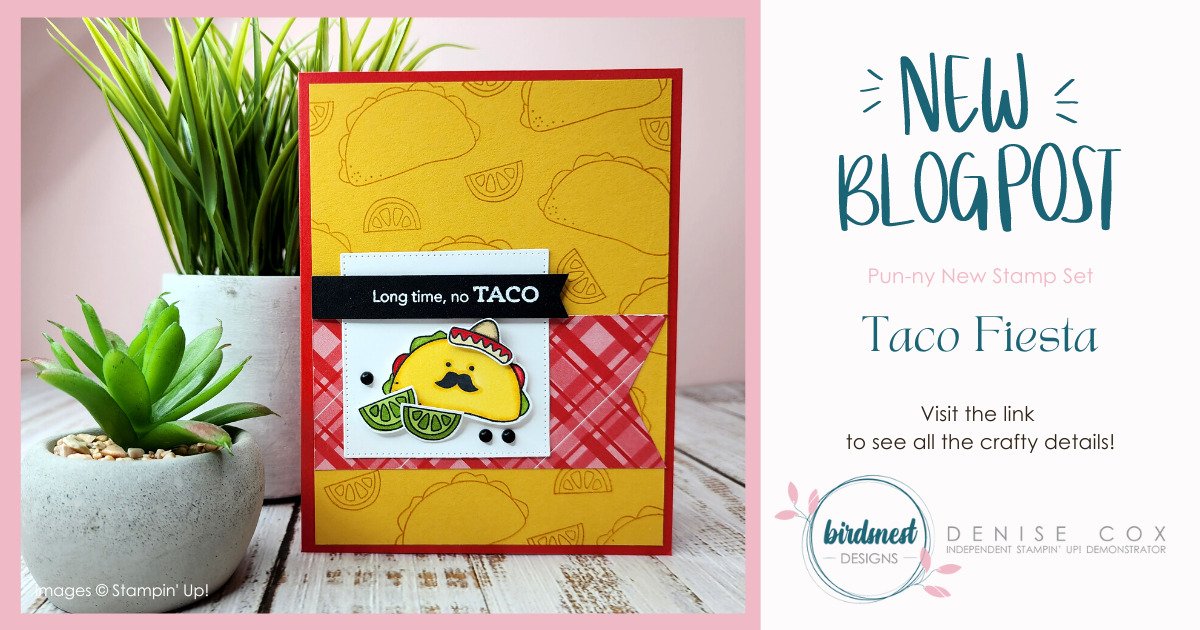 Taco Fiesta: Long Time, No TACO! • Birdsnest Designs