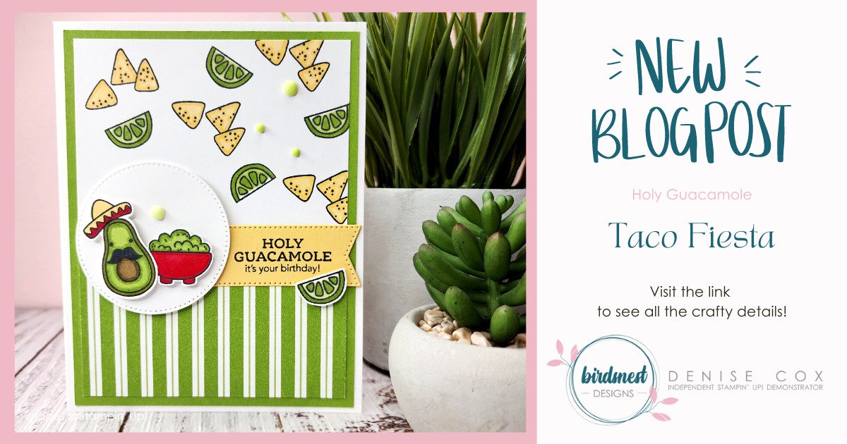 Holy Guacamole: Taco Fiesta • Birdsnest Designs | Denise Cox