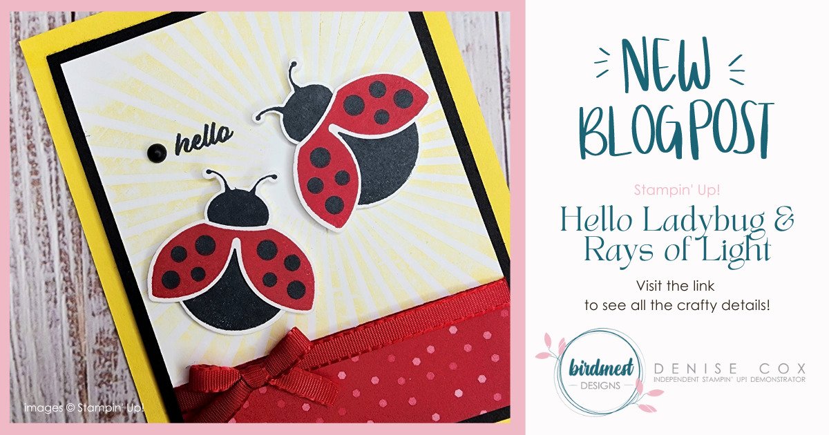 Hello Ladybug with Rays of Light Background • Birdsnest Designs