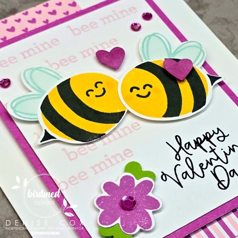 Two Cute As Can Bee Valentine's Day Cards • Birdsnest Designs | Denise Cox